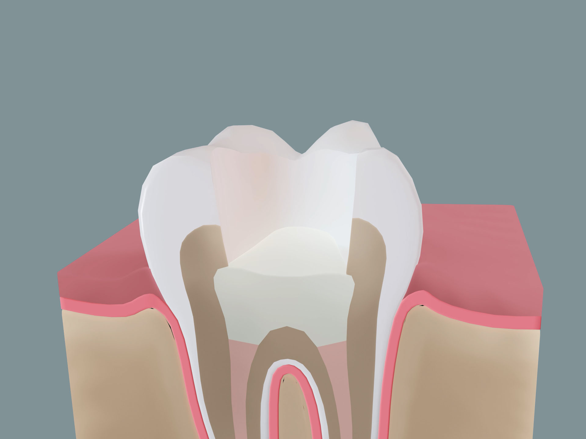 No Need to Fear: Root Canal Therapy Explained - Audubon Dental